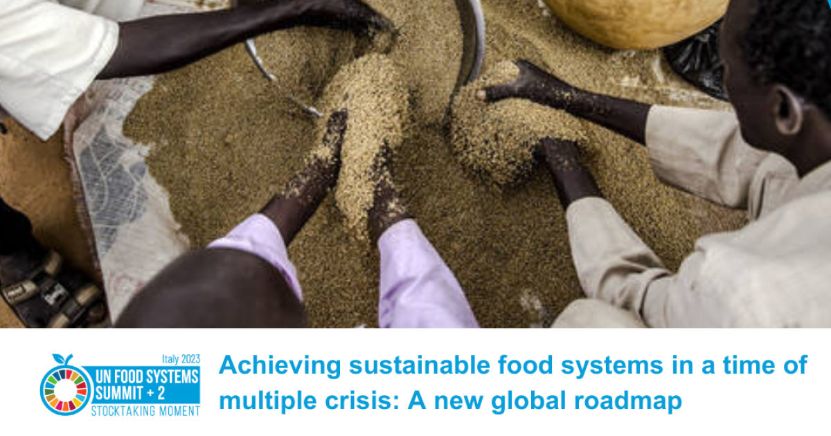 Join us @ UNFSS 2023 | The Zero Hunger Coalition