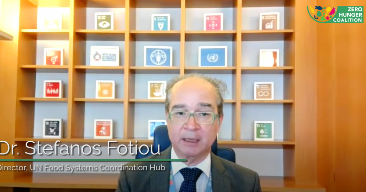 The collaboration between the UN Food System Hub and the Zero Hunger ...