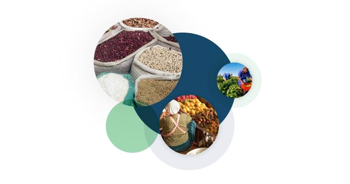 The Zero Hunger Coalition