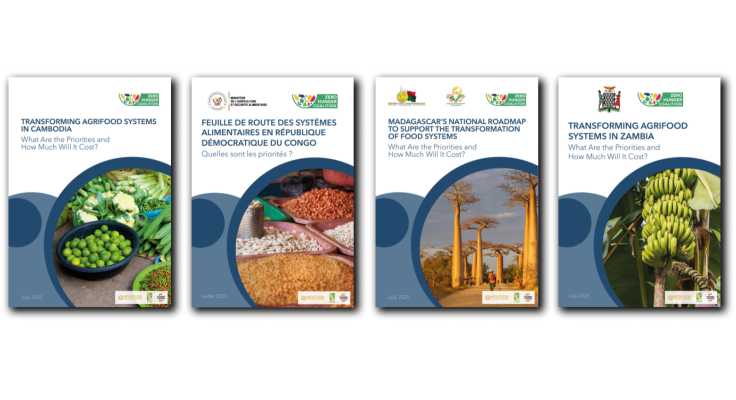 Implementing the Kampala Declaration: next steps | The Zero Hunger ...
