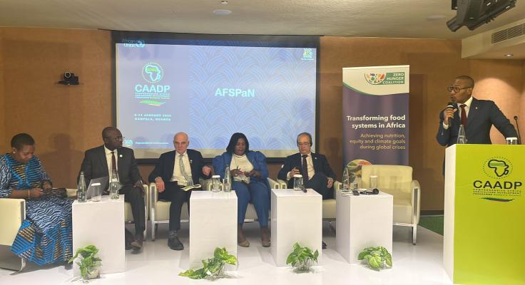 Tackling food insecurity and climate challenges: A closer look at ...